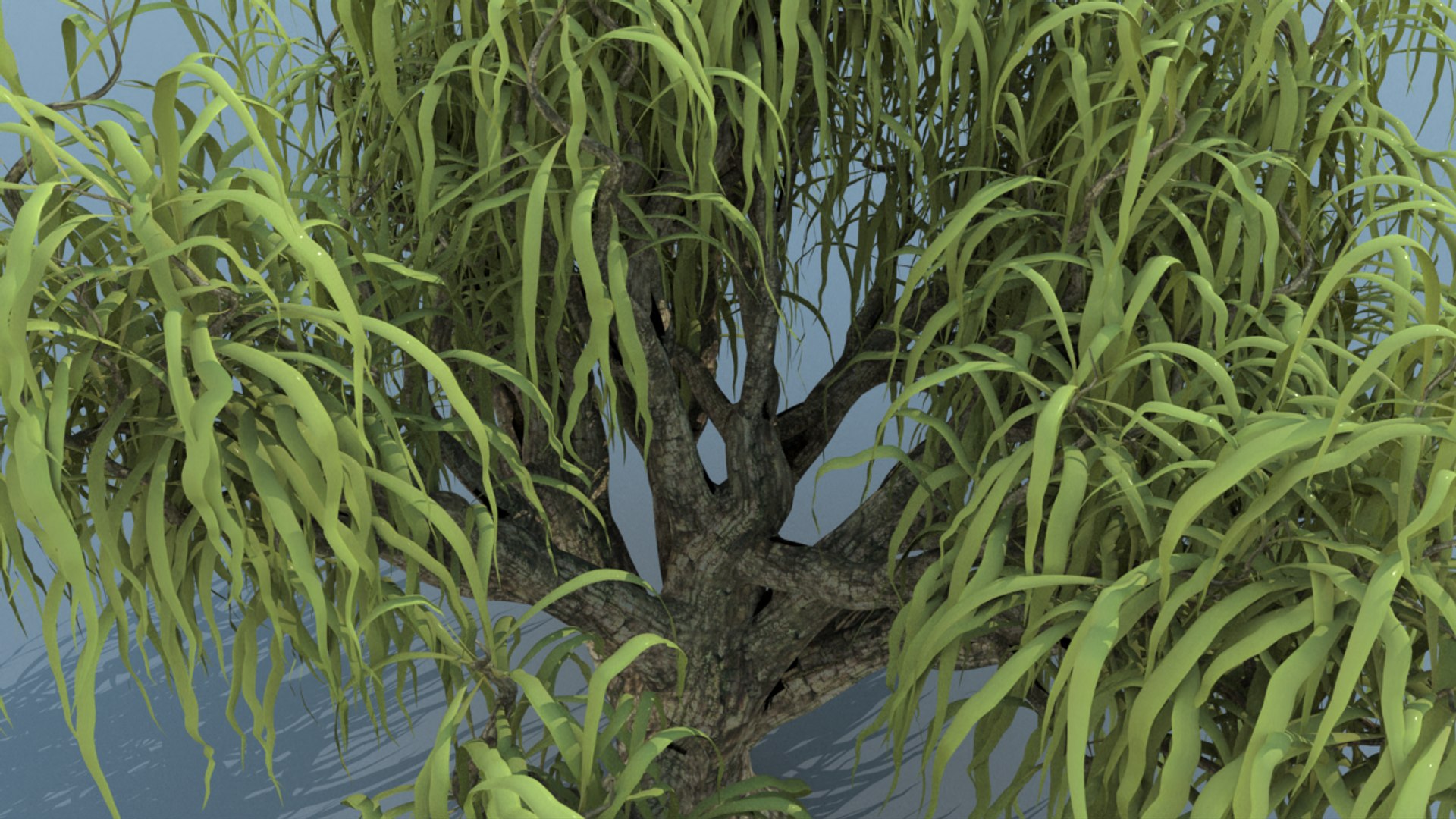 Big Tree 3D Model - TurboSquid 1612013