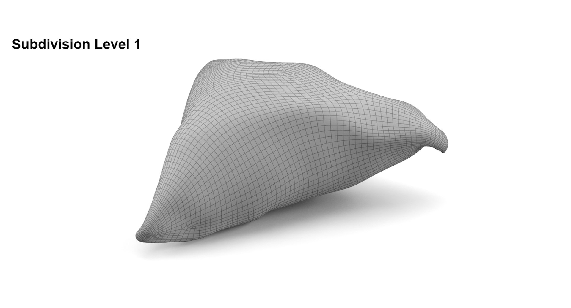 3d Model Samosa Food
