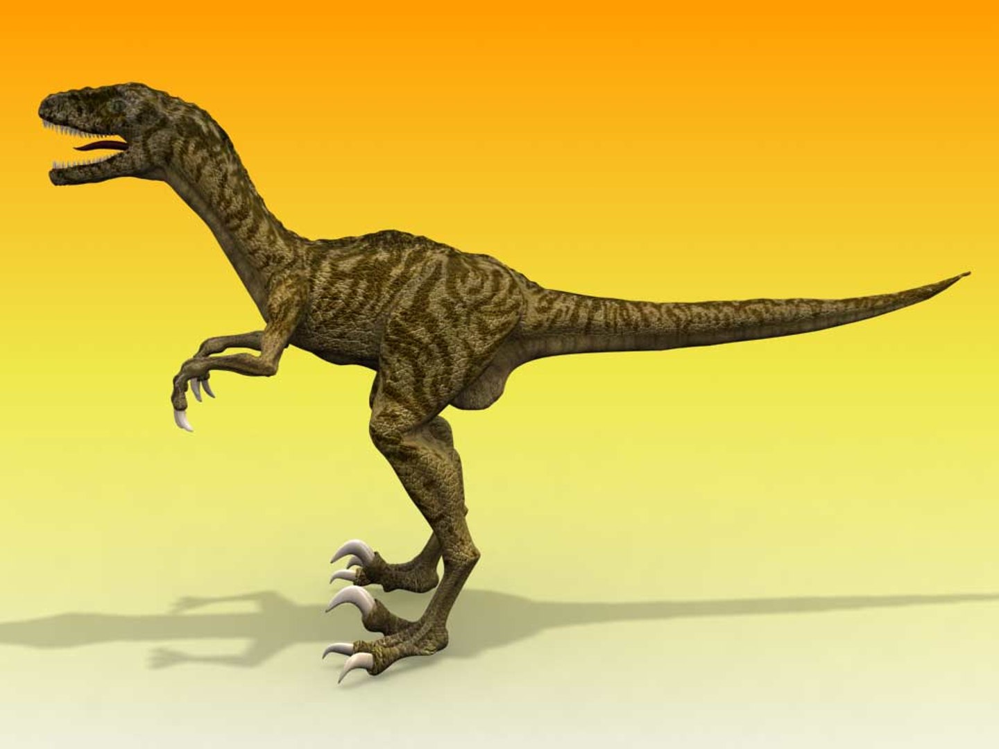 3d Velociraptor Dinosaur