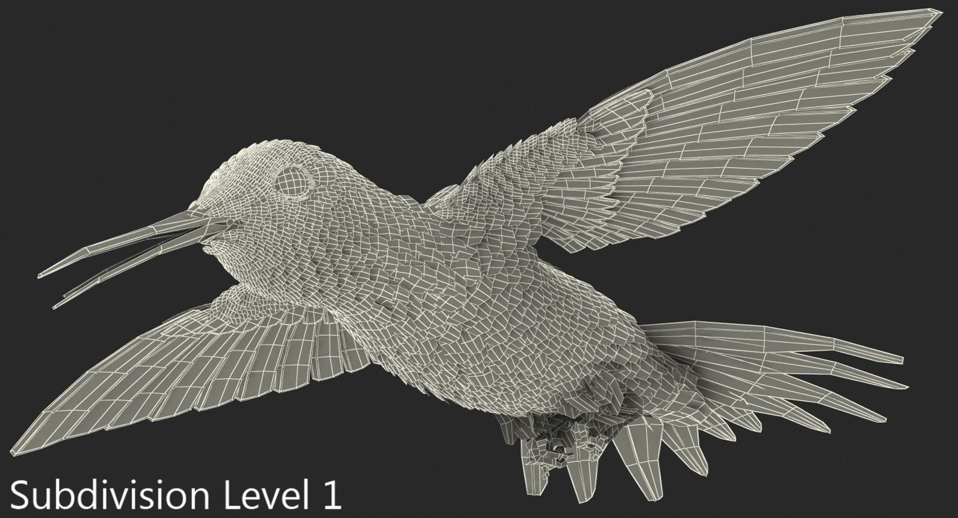 broad tailed hummingbird flying 3d model