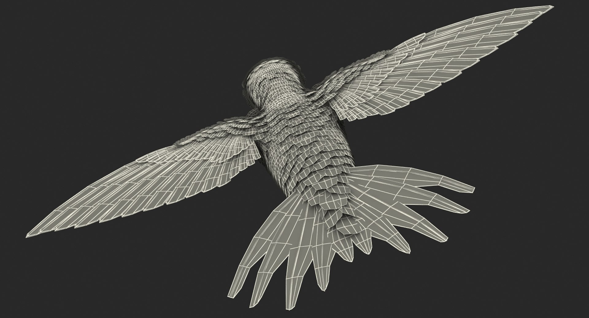 broad tailed hummingbird flying 3d model