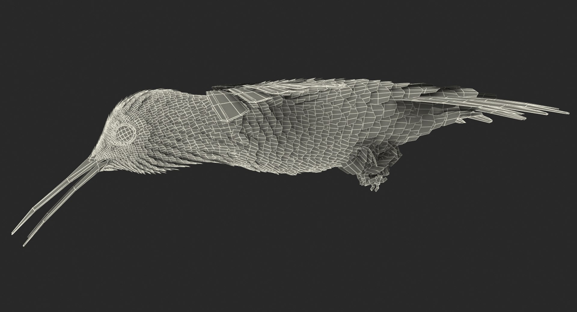 broad tailed hummingbird flying 3d model