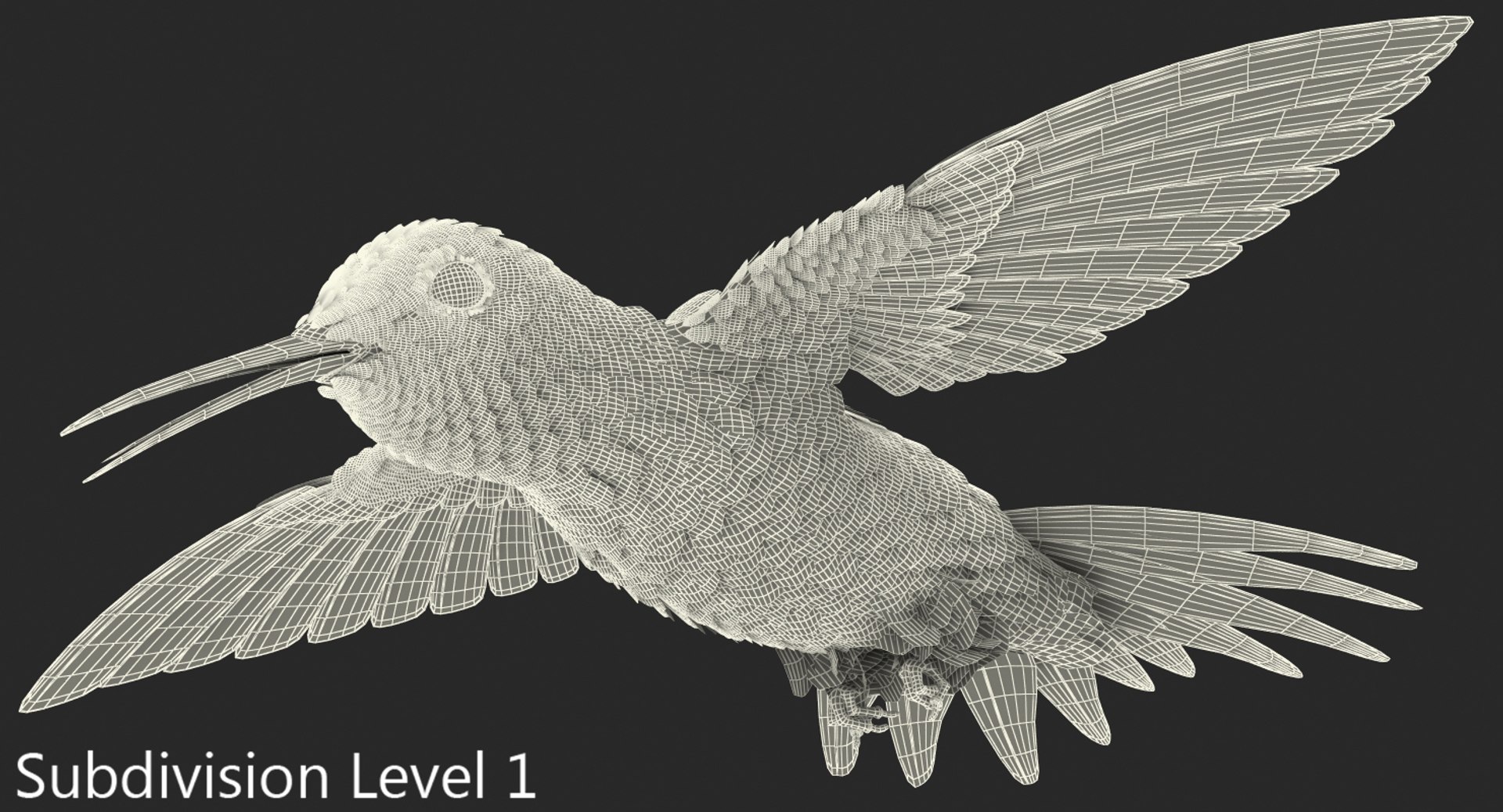 broad tailed hummingbird flying 3d model