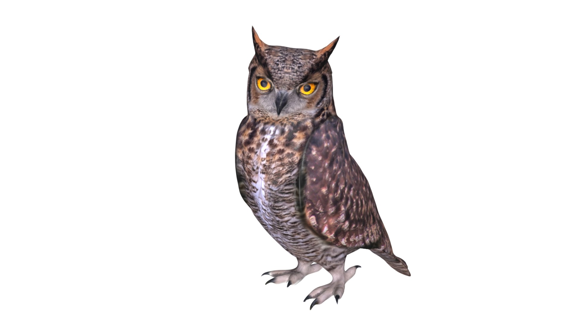 3D Fully Rigged Low Poly Standing Horned Owl Model - TurboSquid 1760956
