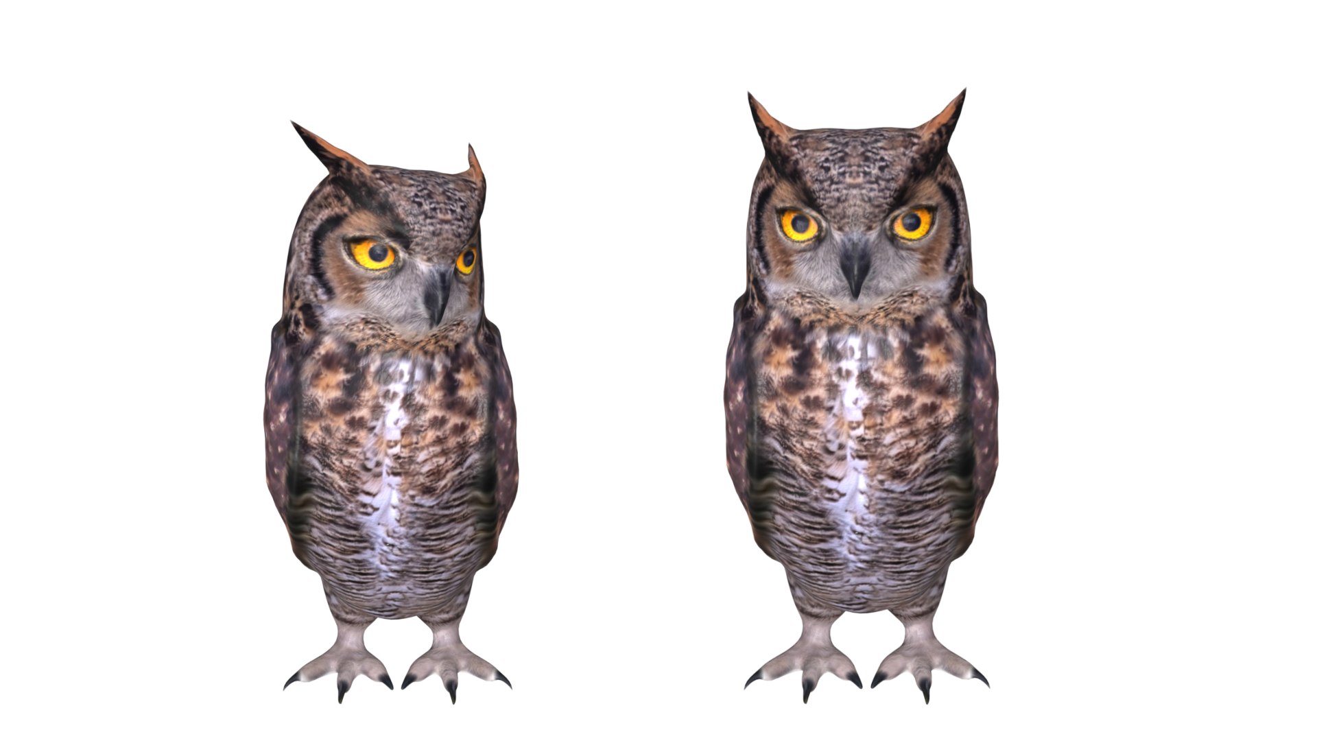 3D Fully Rigged Low Poly Standing Horned Owl Model - TurboSquid 1760956