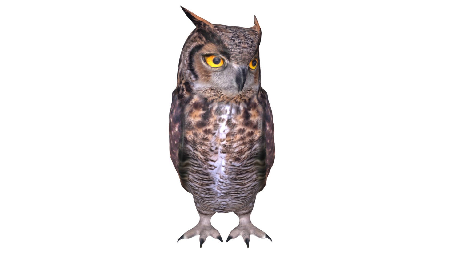 3D Fully Rigged Low Poly Standing Horned Owl Model - TurboSquid 1760956
