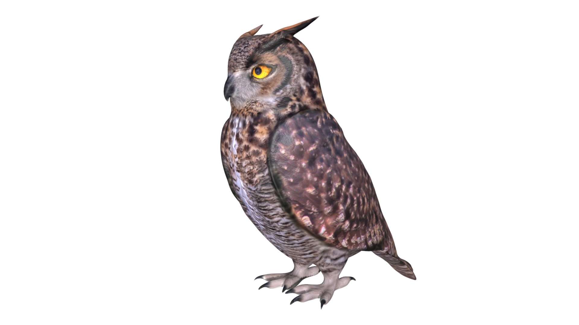 3D Fully Rigged Low Poly Standing Horned Owl Model - TurboSquid 1760956