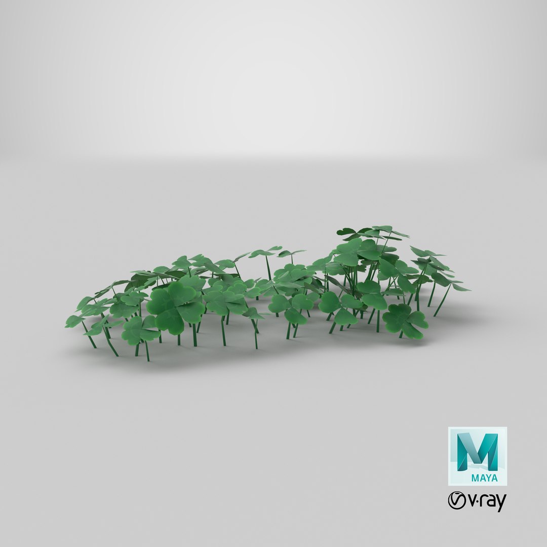 Cartoon Clover 06 Model - TurboSquid 2043171