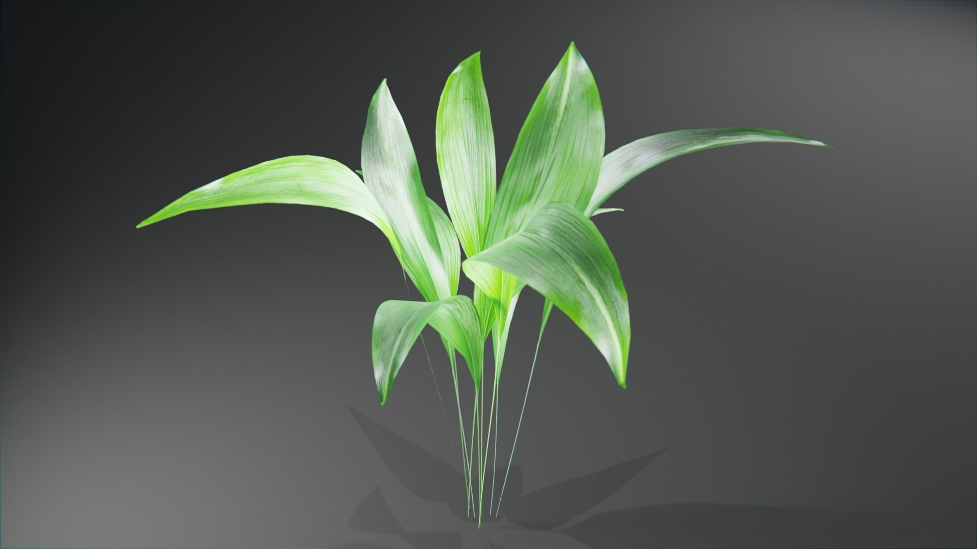 Plants Collection Model - TurboSquid 2128667