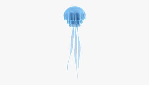 3D Cnidaria Models | TurboSquid