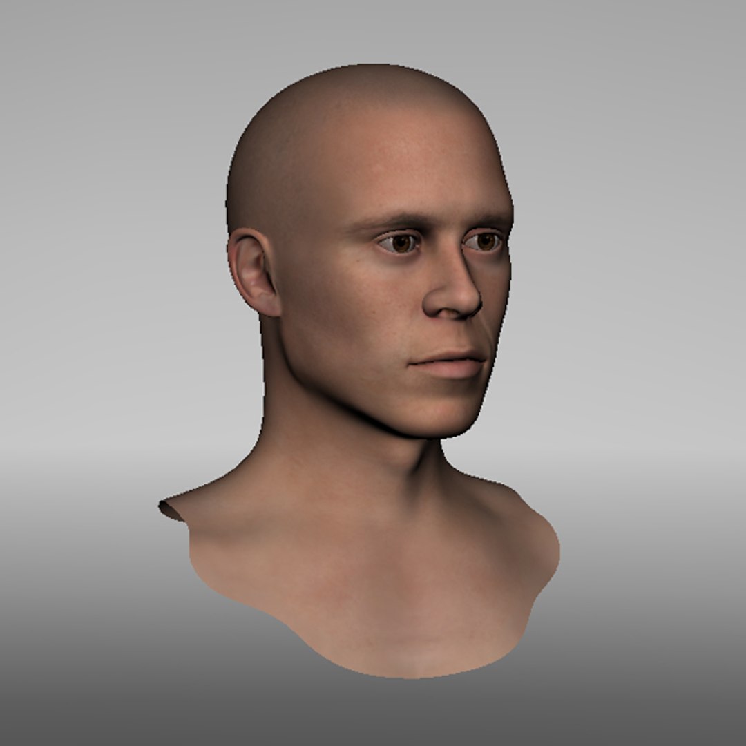3d Realistic Human Head