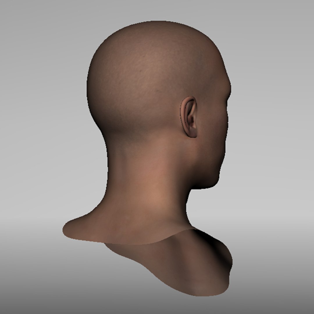 3d Realistic Human Head