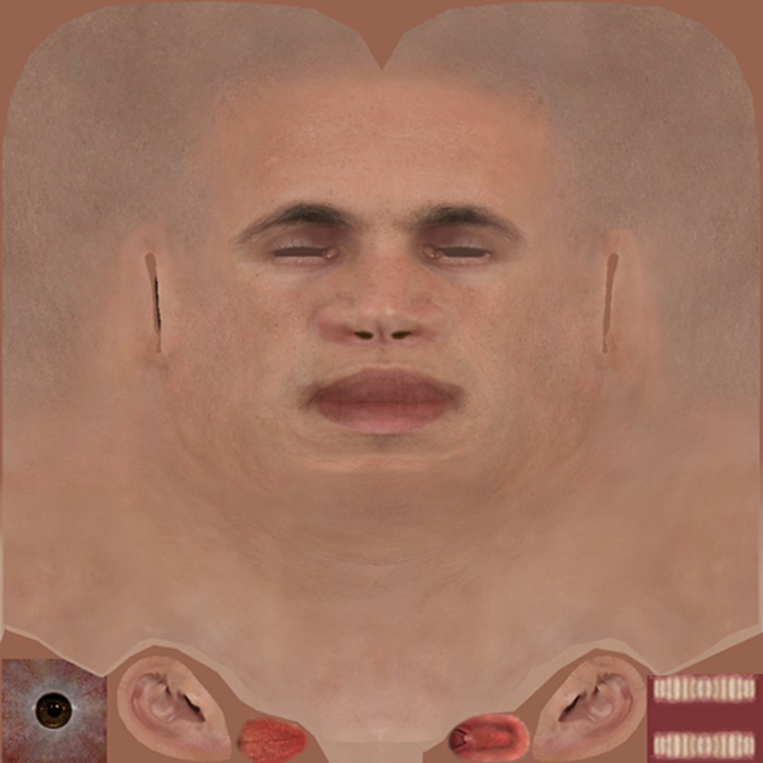 3d Realistic Human Head