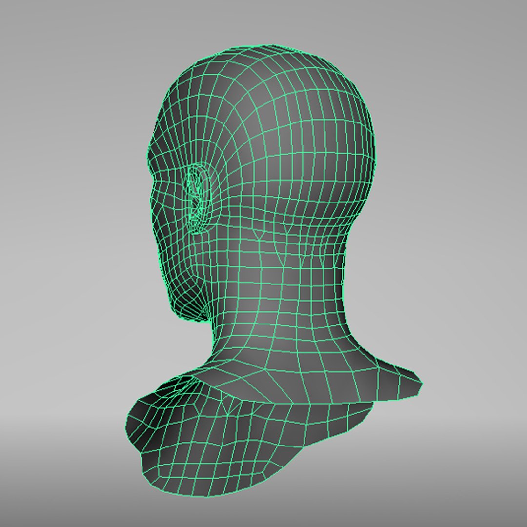 3d Realistic Human Head