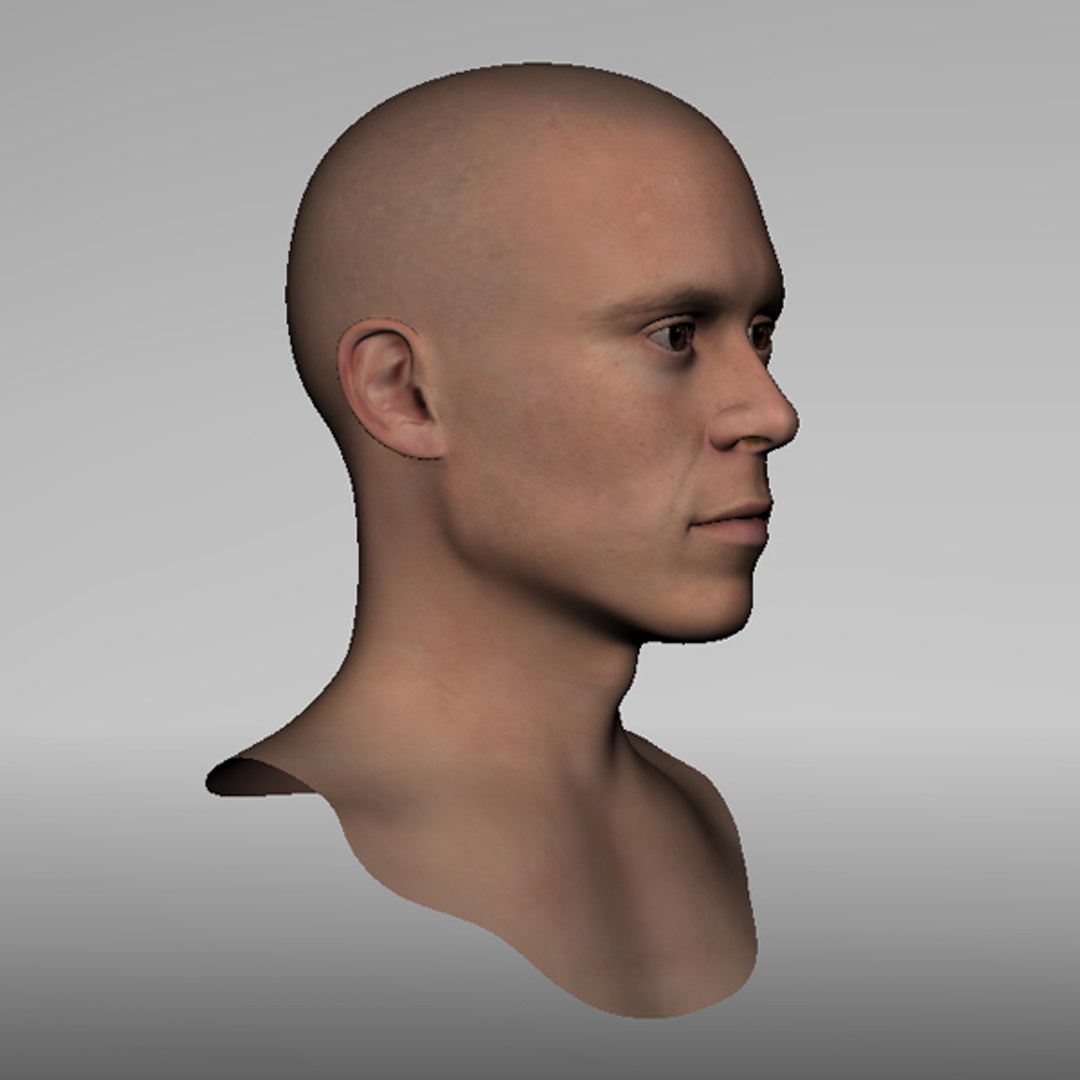 3d Realistic Human Head