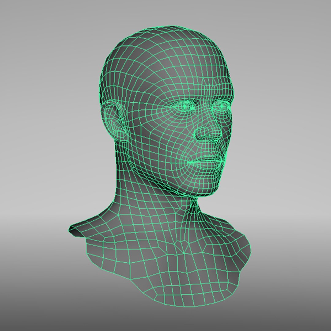 3d Realistic Human Head