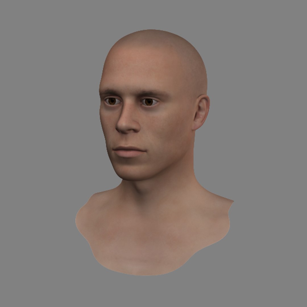 3d Realistic Human Head