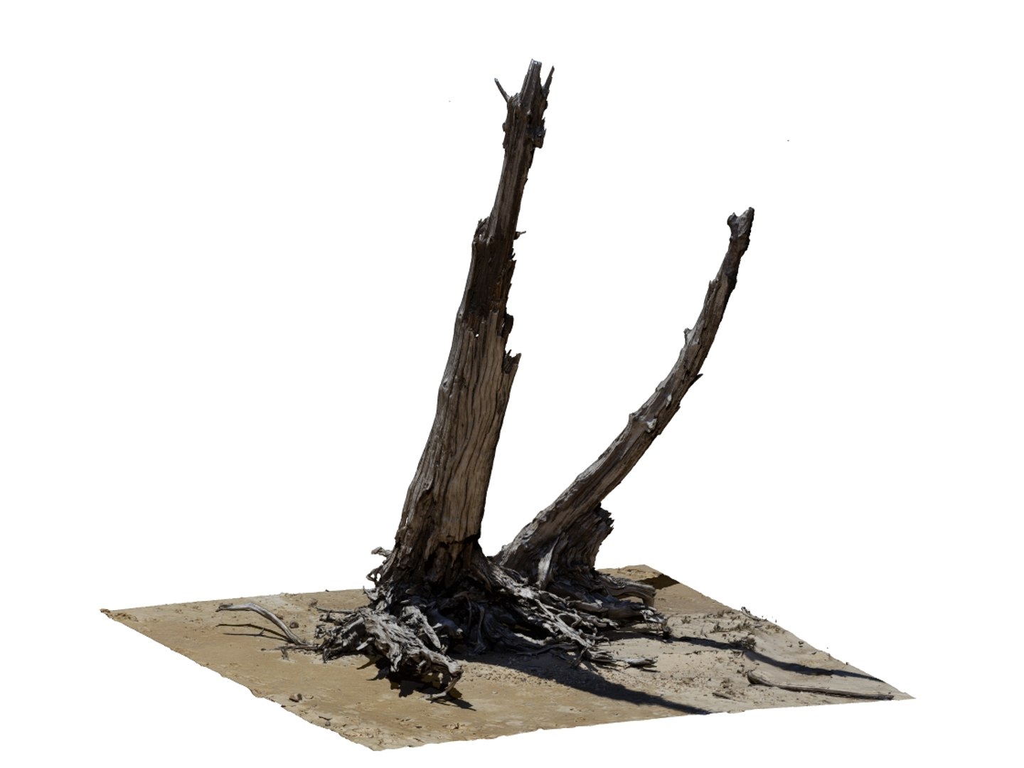 Desert Tree Standing 05 Model - TurboSquid 1384817