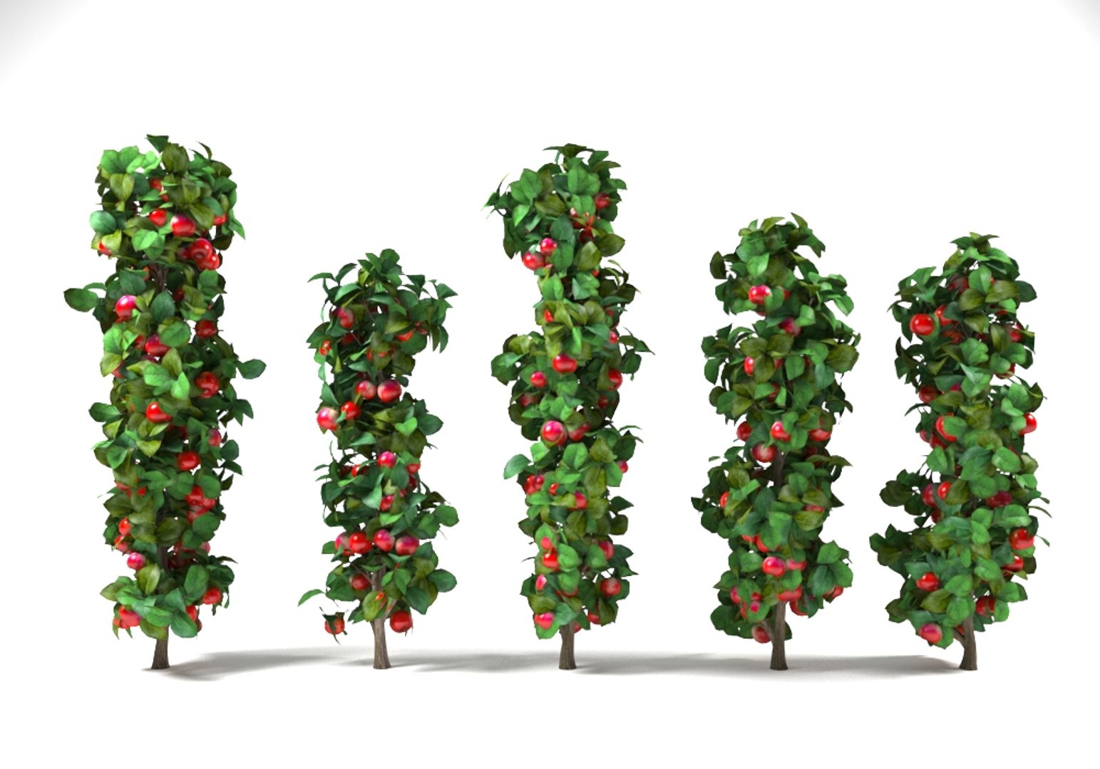 3D Column Apple Trees Set Model - TurboSquid 1199293