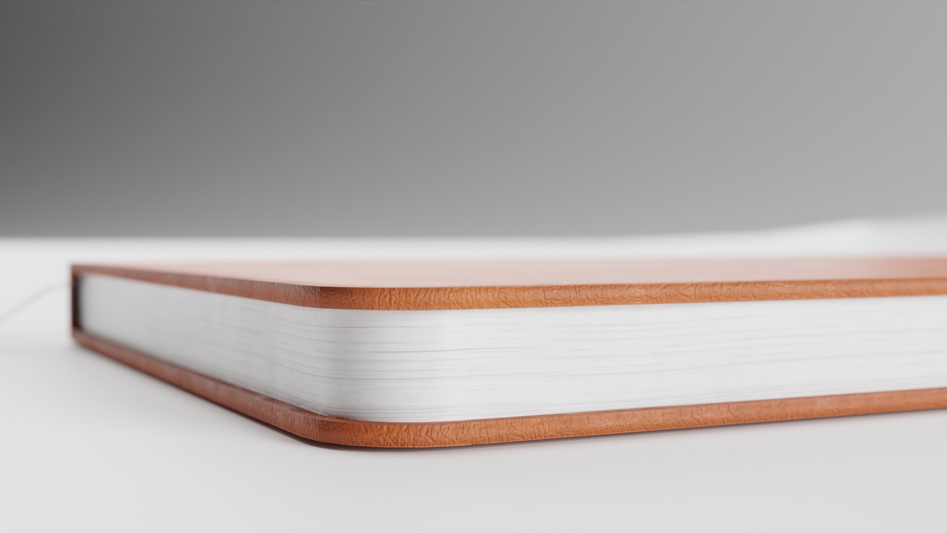 3D Diary Low Poly - TurboSquid 1729233