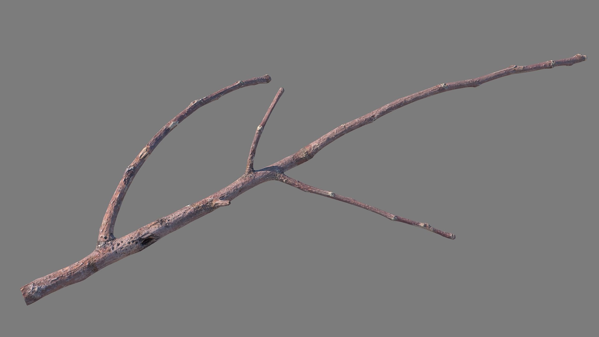 3D Twig Scanned 08 - TurboSquid 2088905
