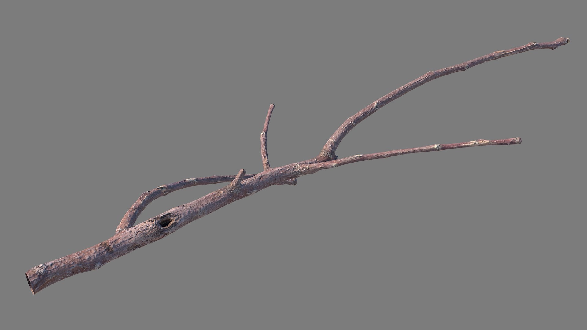 3D Twig Scanned 08 - TurboSquid 2088905