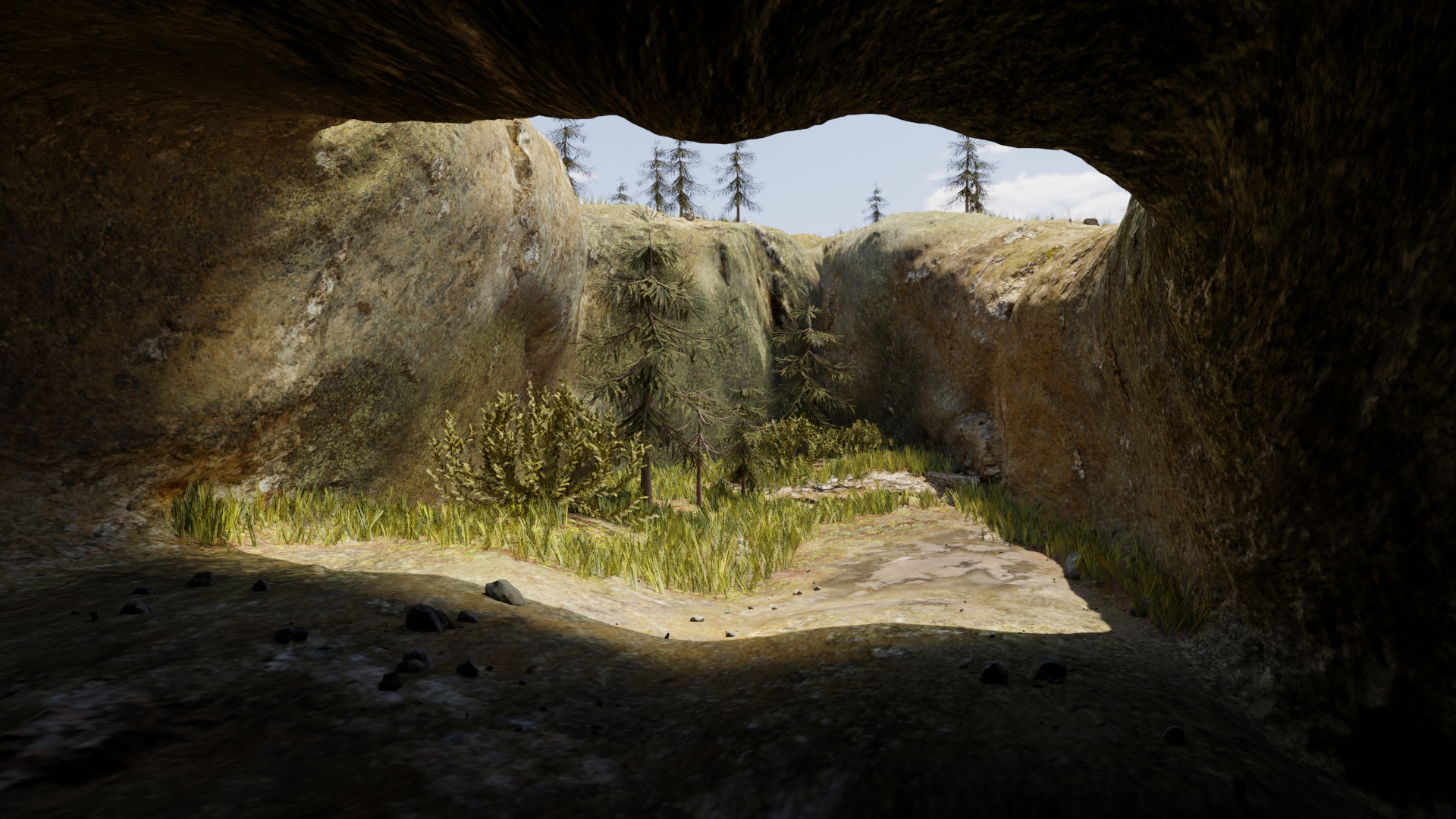 3D photorealistic cave vegetation terrain - TurboSquid 1650006
