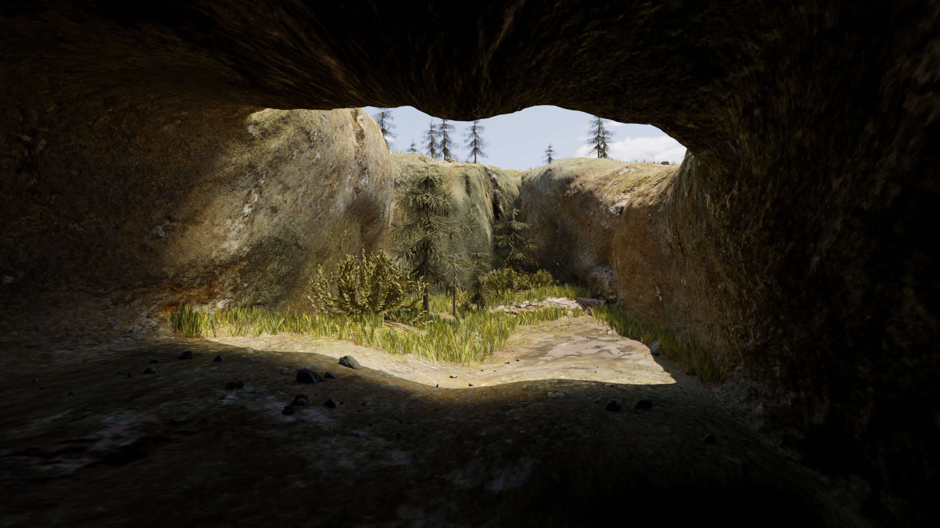 3D Photorealistic Cave Vegetation Terrain - TurboSquid 1650006