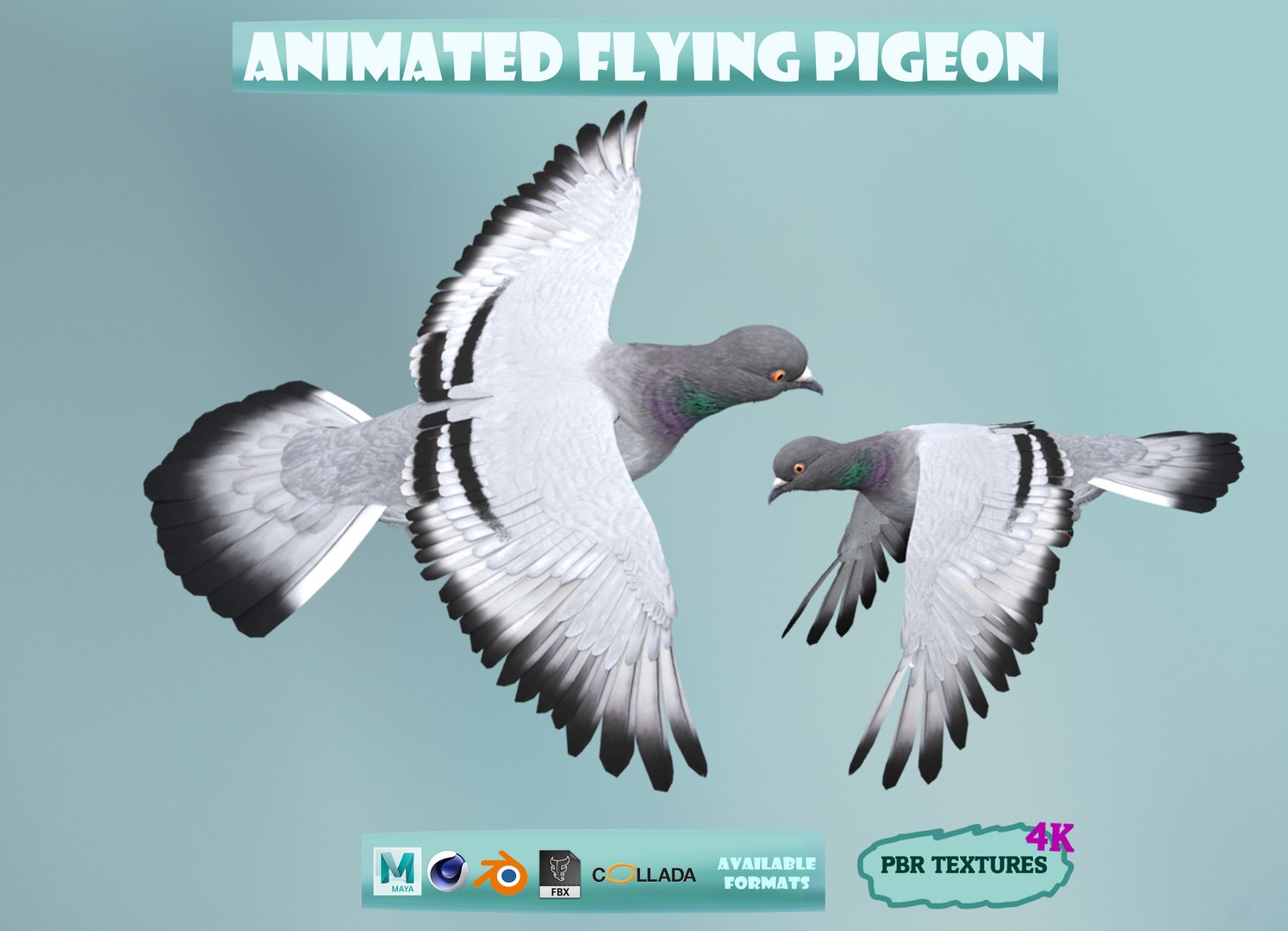 modelo 3d Realistic flying Pigeon - LOOP FLIGHT animations - TurboSquid ...