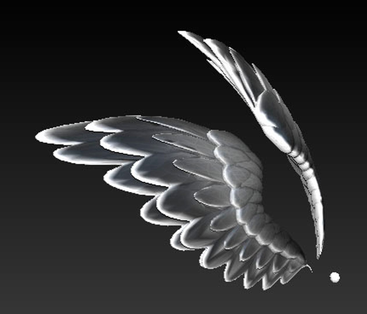 3d Model Wings