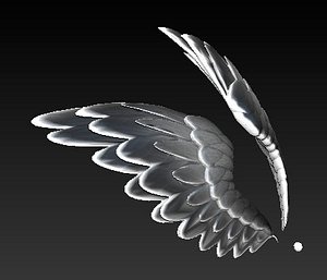 Wing 3D Models for Download | TurboSquid