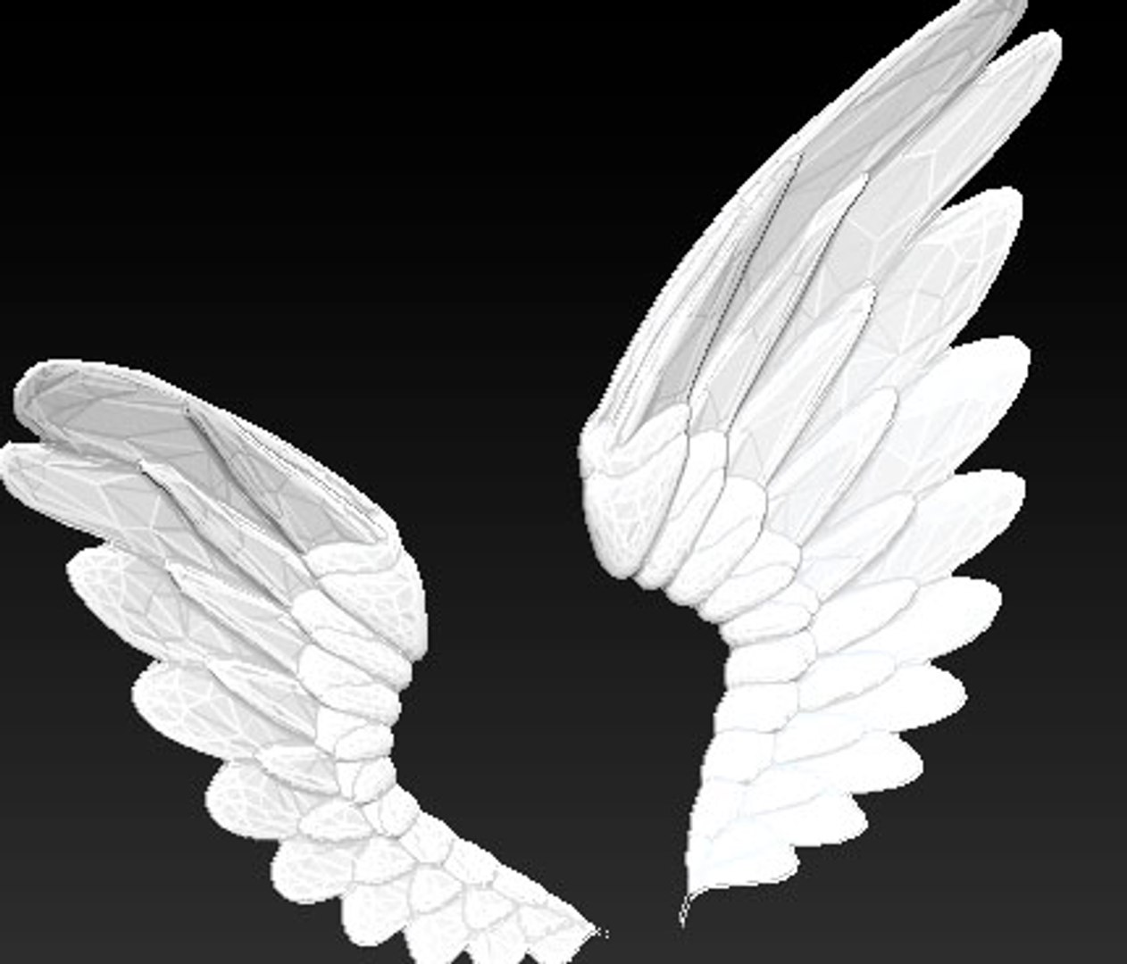 3d Model Wings
