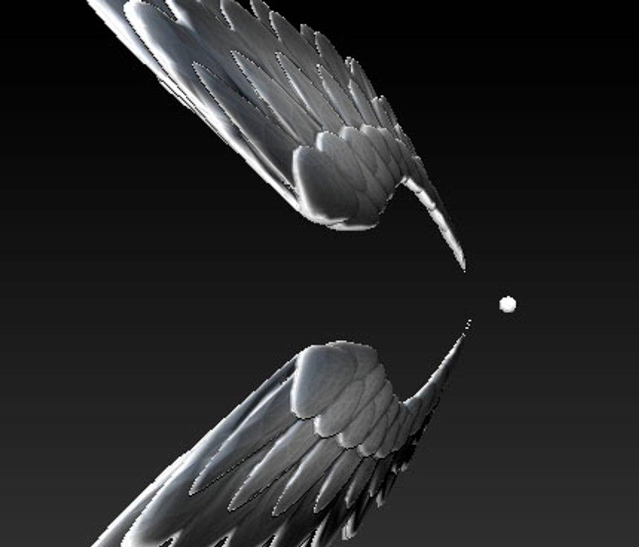 3d Model Wings