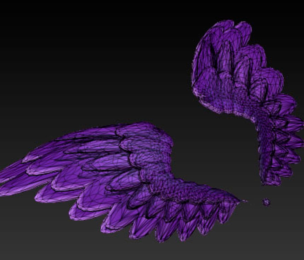3d Model Wings