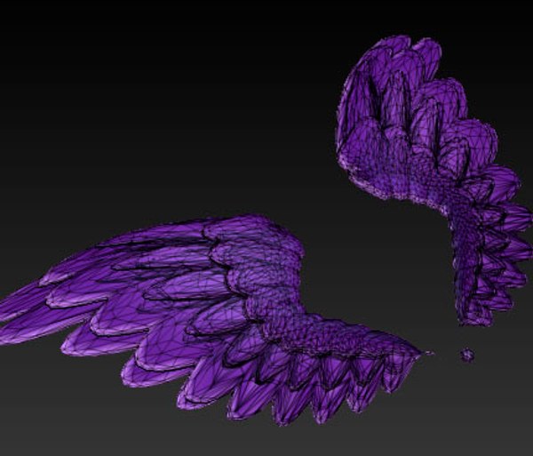 3d model wings