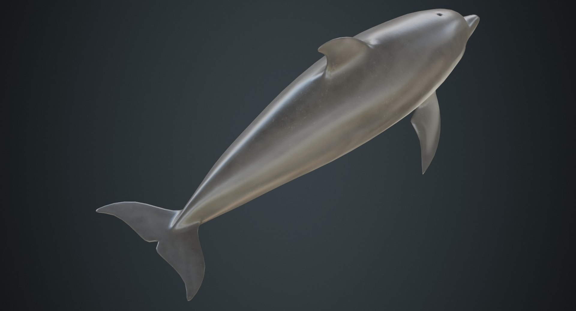 3D Model Dolphin 1a - TurboSquid 1392279