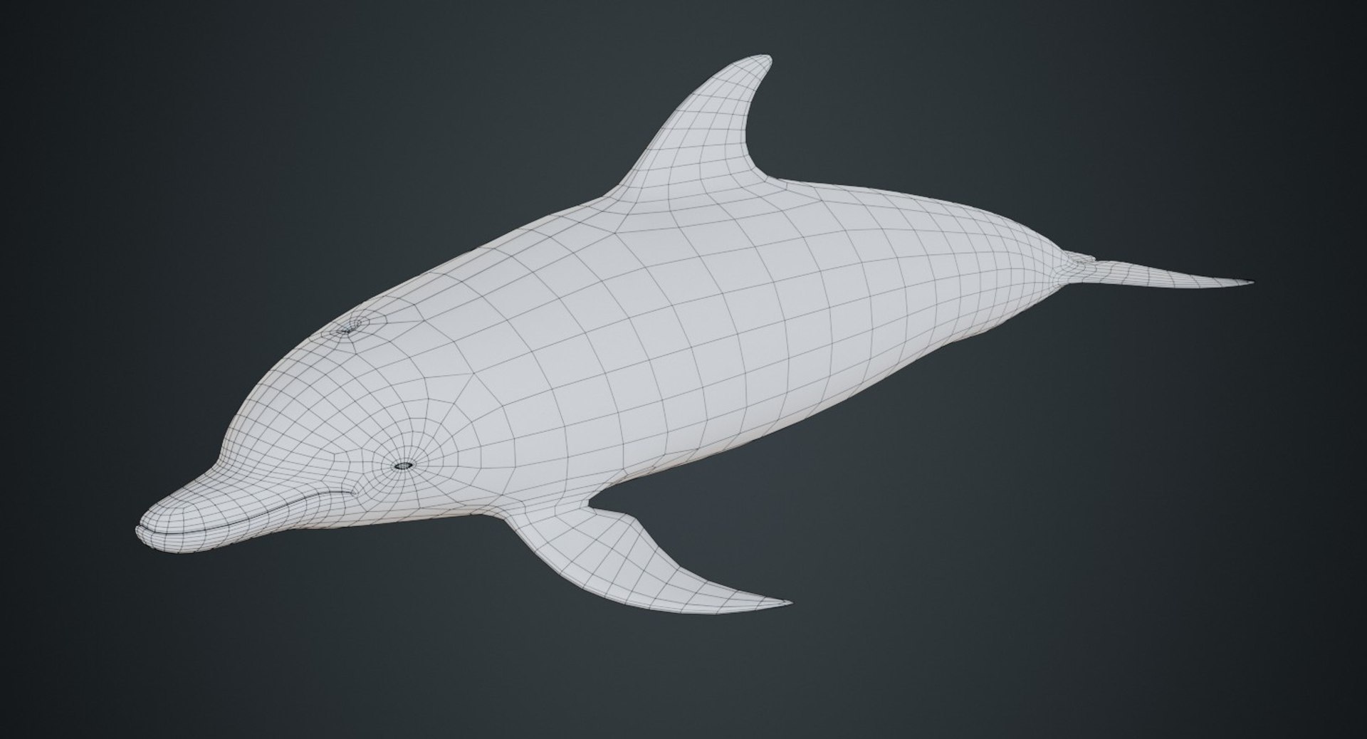 3D Model Dolphin 1a - TurboSquid 1392279