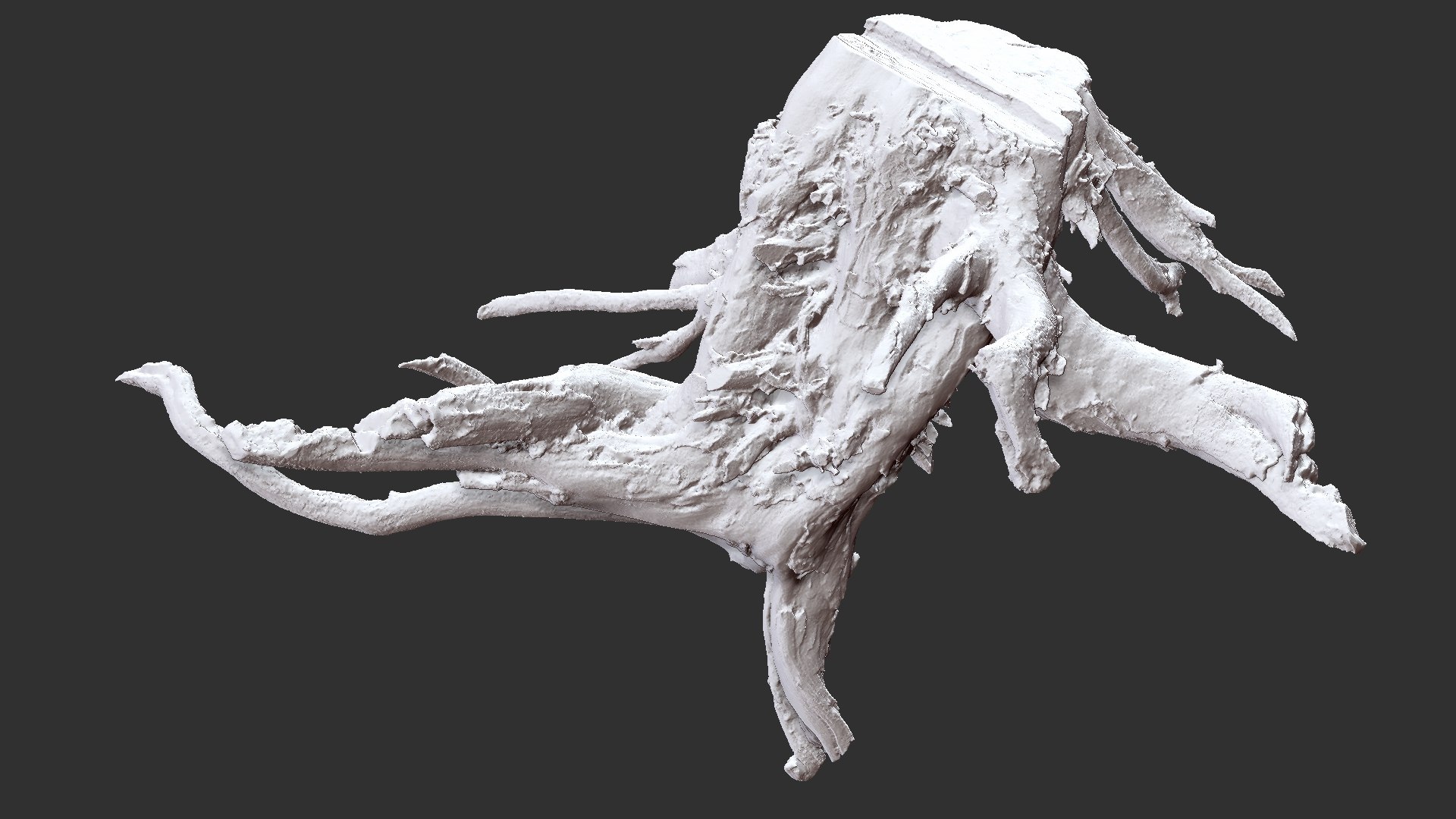 Tree Root 3D Scan 3D model - TurboSquid 2148161