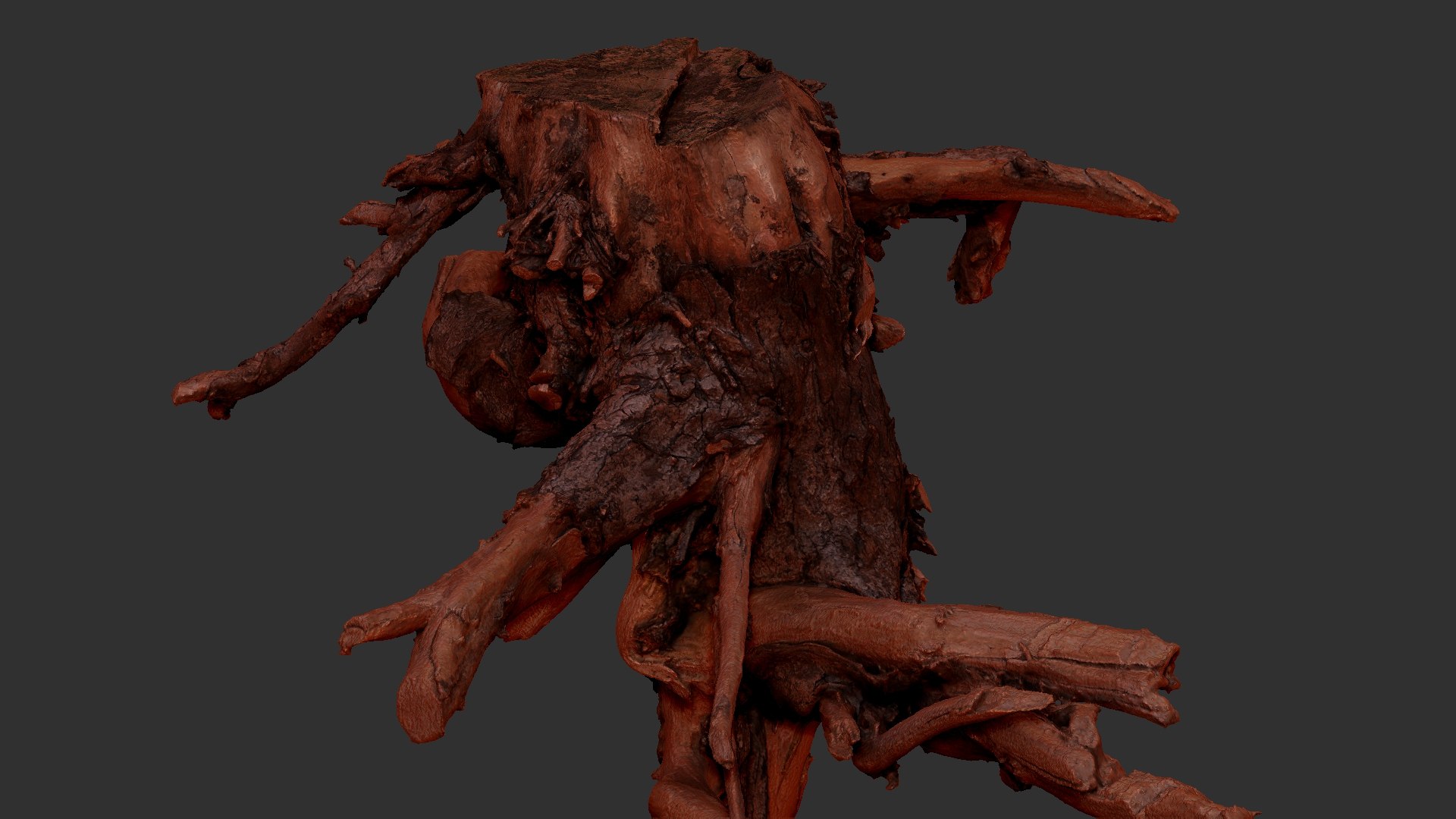Tree Root 3D Scan 3D model - TurboSquid 2148161