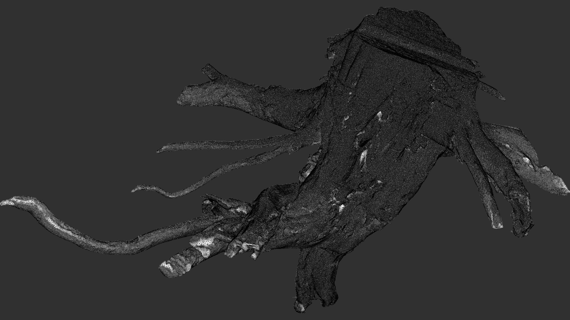 Tree Root 3D Scan 3D model - TurboSquid 2148161