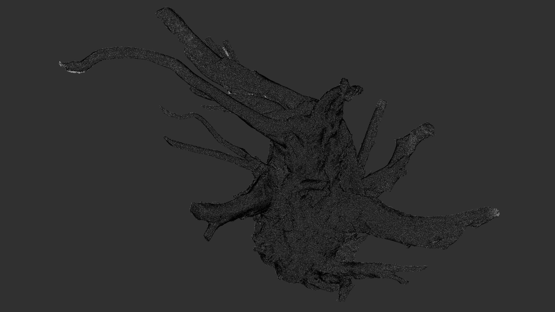 Tree Root 3D Scan 3D model - TurboSquid 2148161