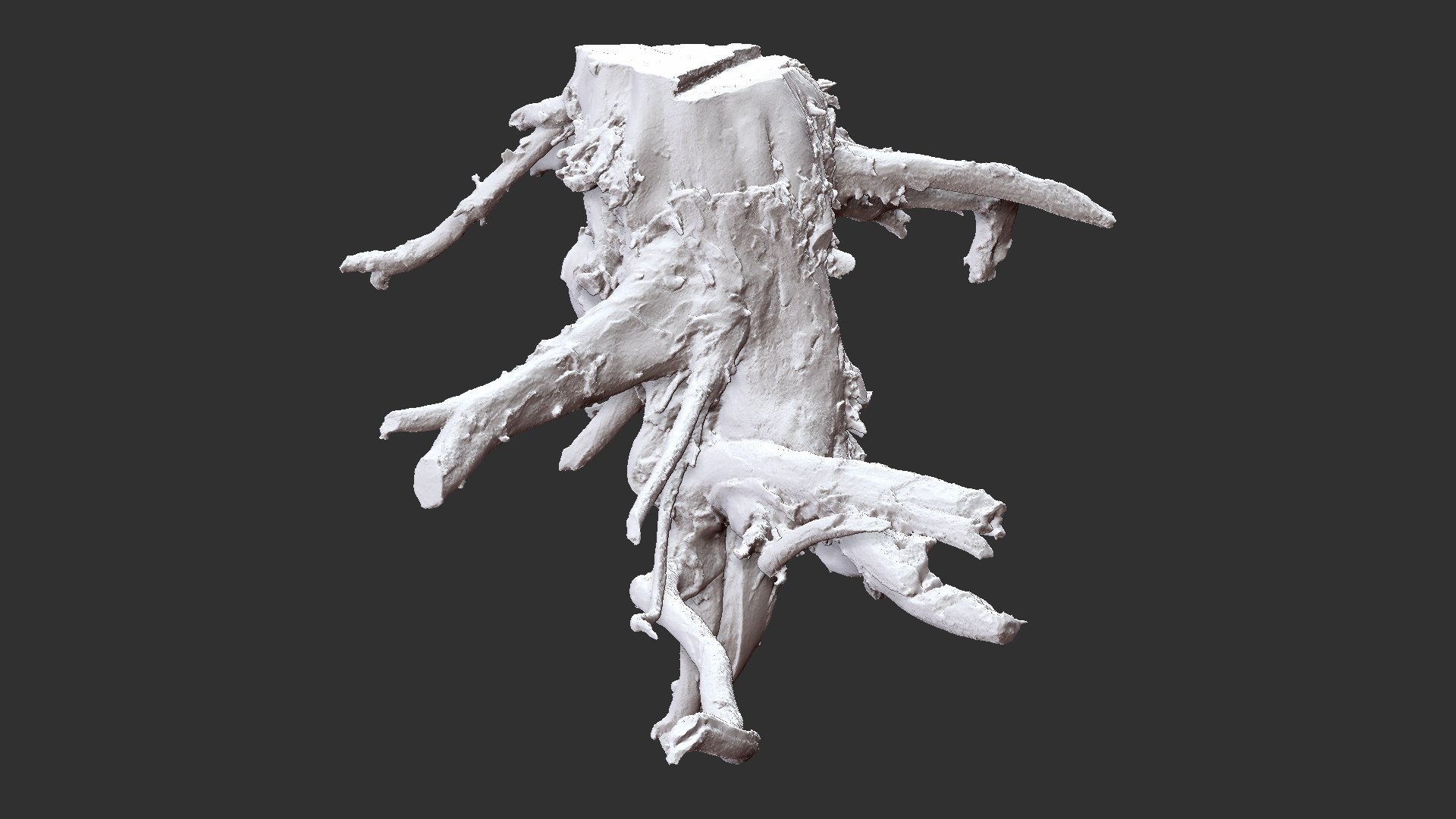 Tree Root 3D Scan 3D model - TurboSquid 2148161
