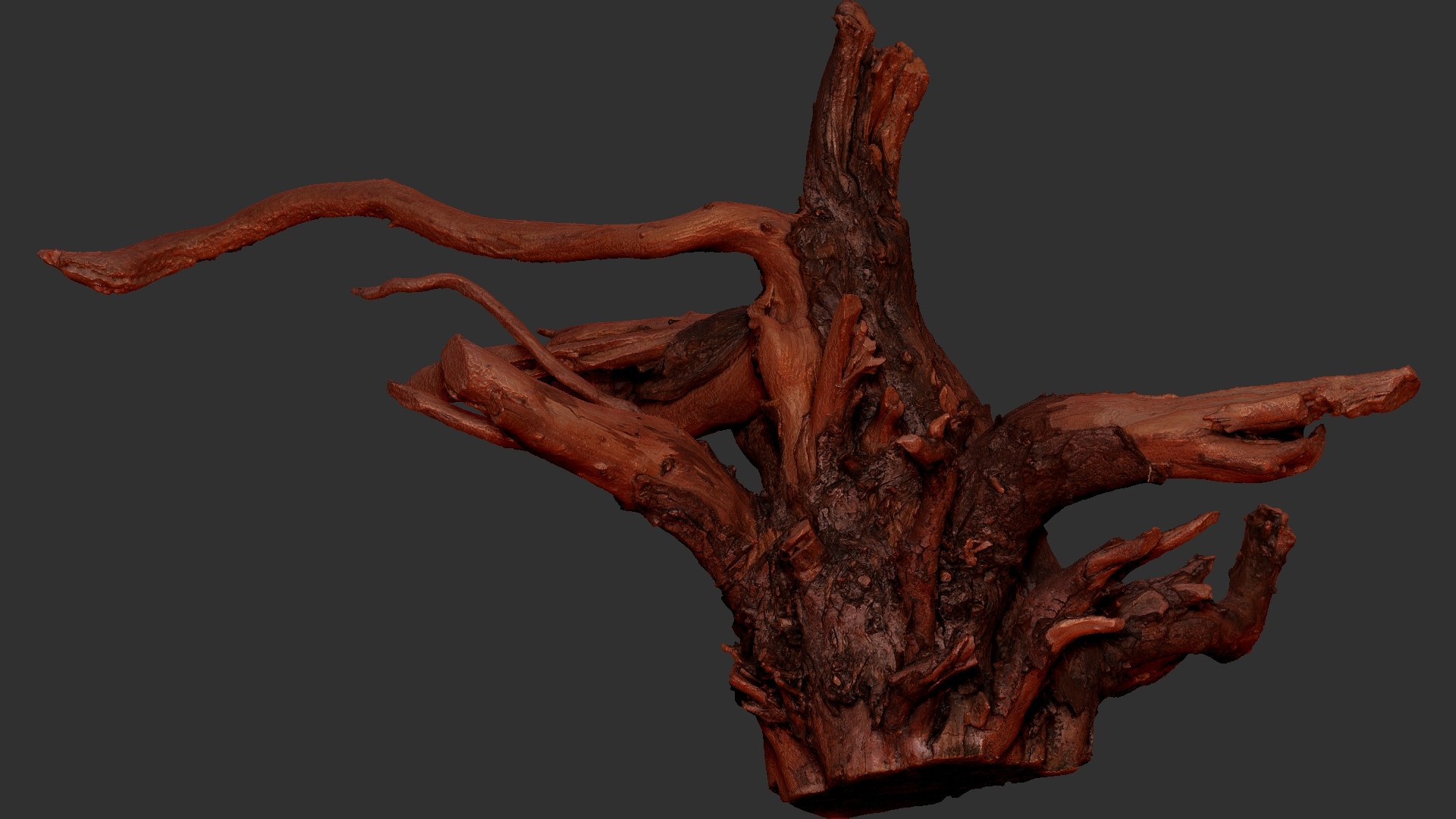 Tree Root 3D Scan 3D model - TurboSquid 2148161