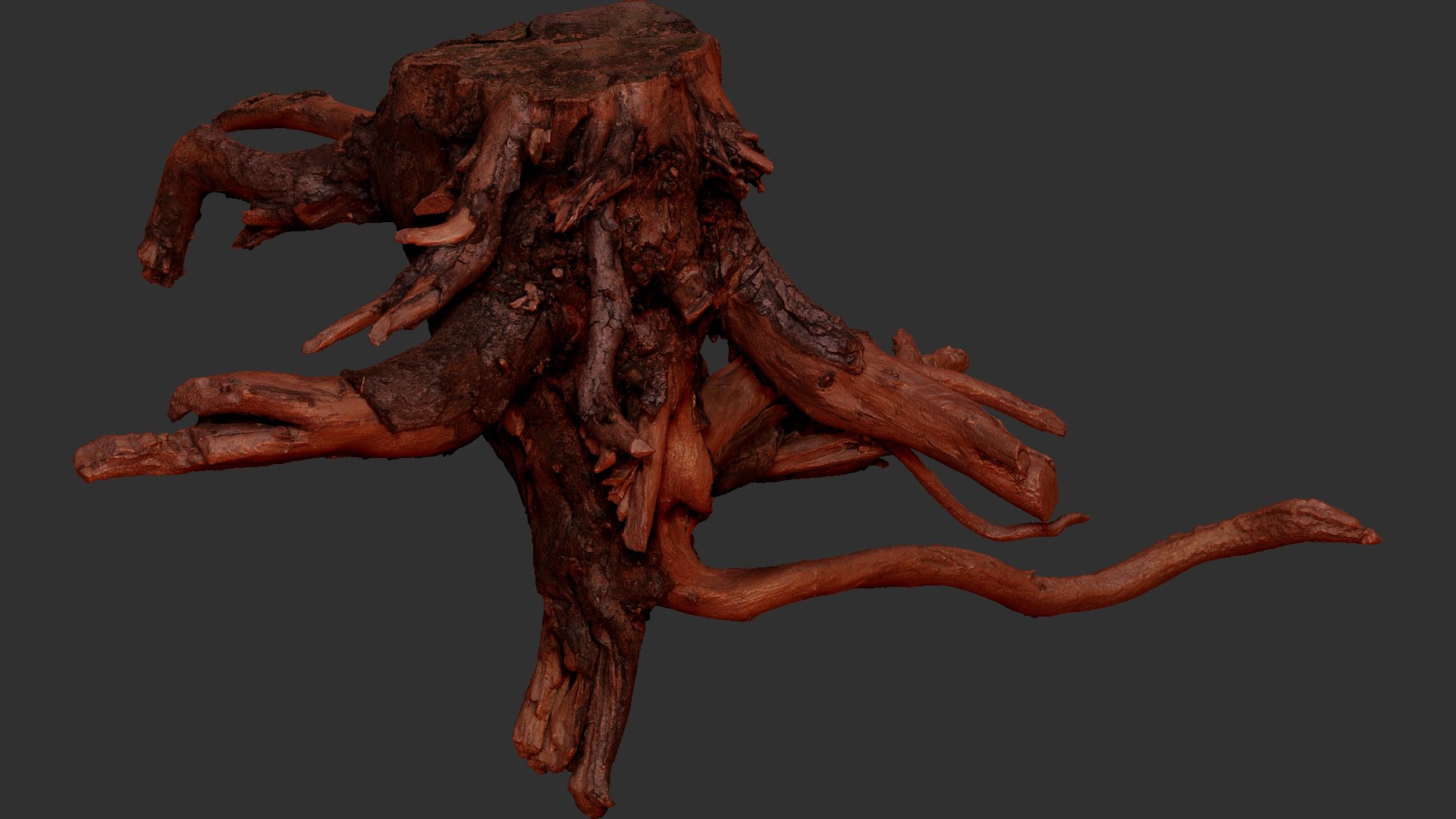 Tree Root 3D Scan 3D model - TurboSquid 2148161
