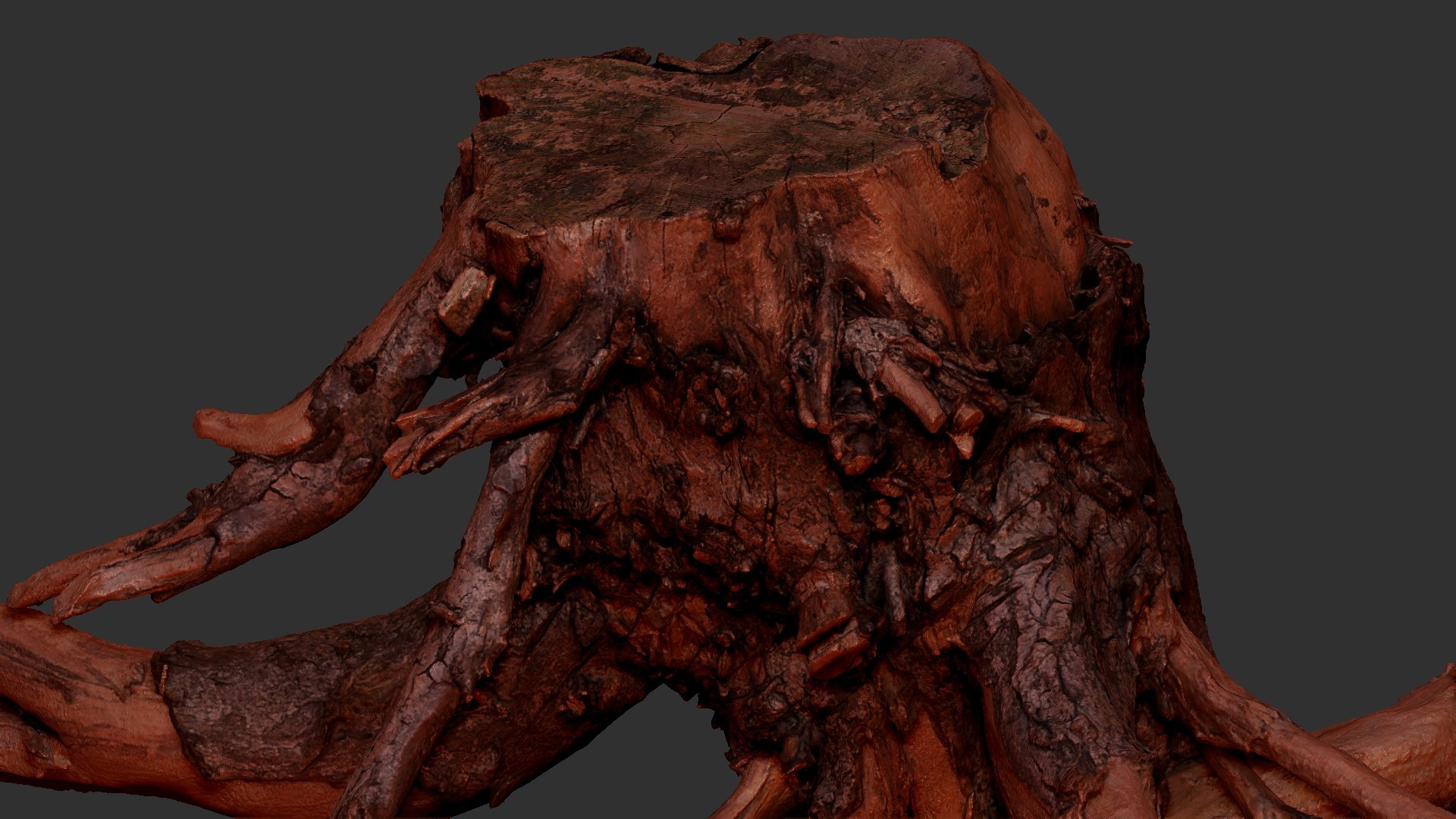 Tree Root 3D Scan 3D model - TurboSquid 2148161