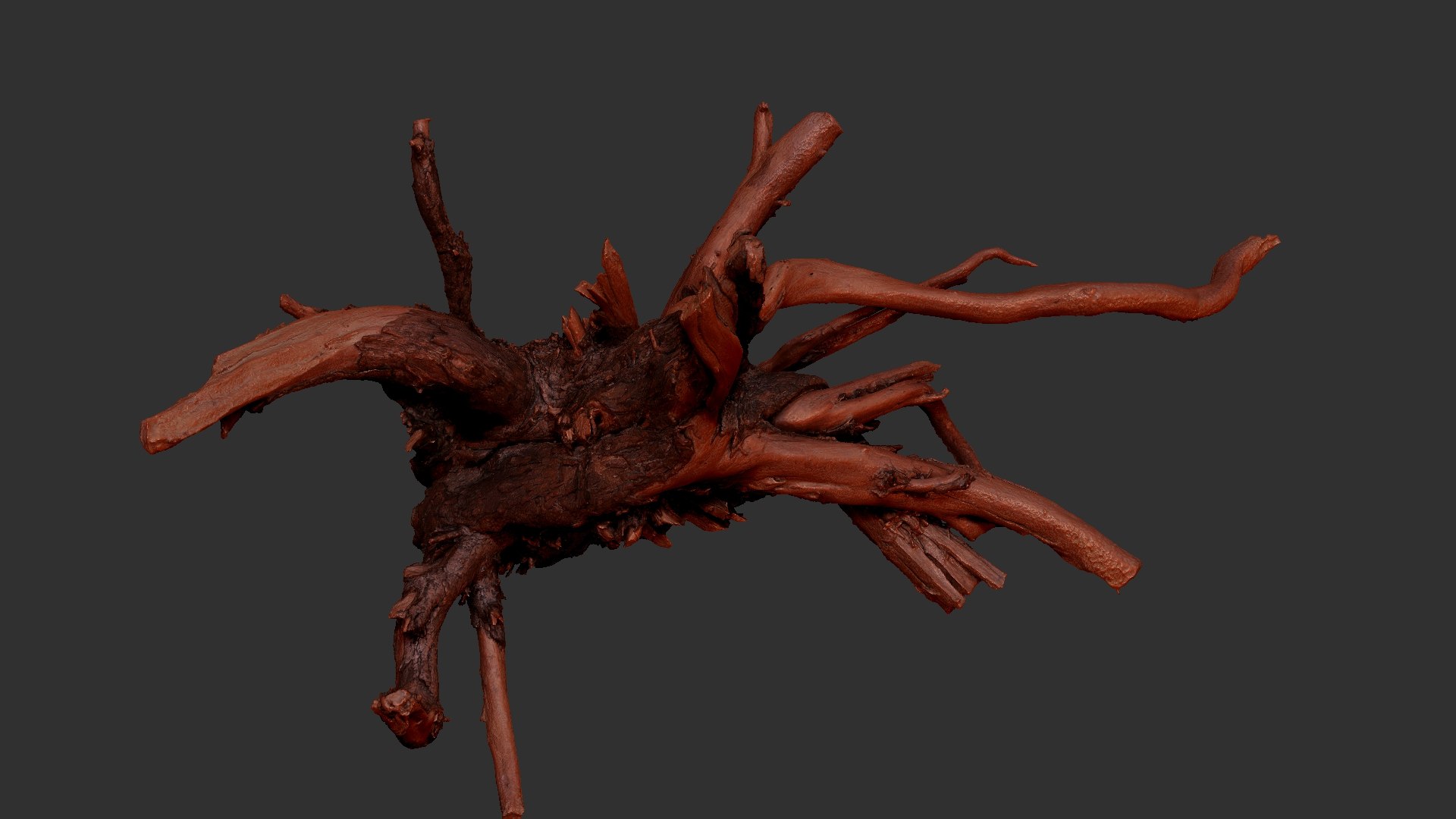 Tree Root 3D Scan 3D model - TurboSquid 2148161