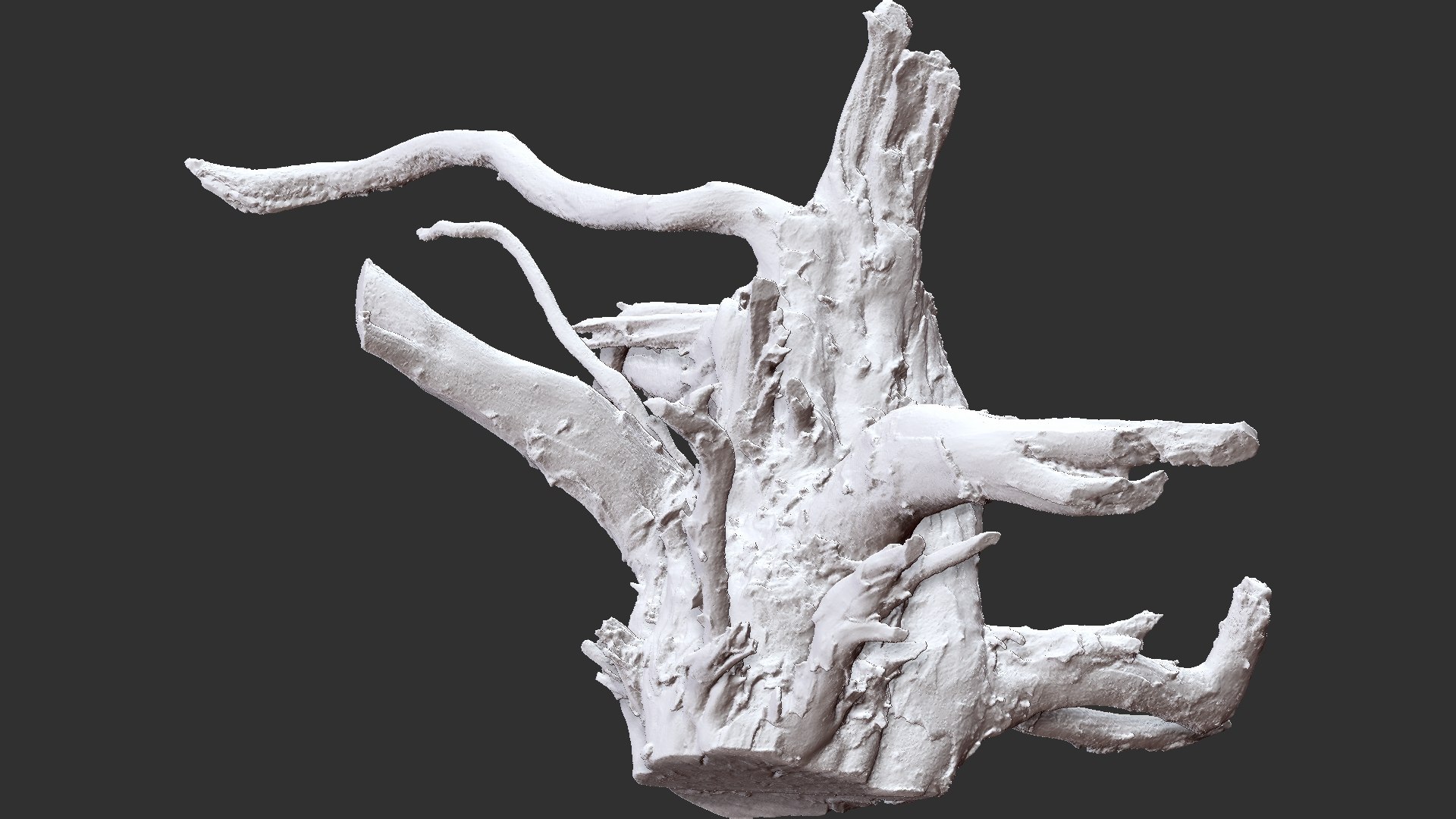 Tree Root 3D Scan 3D model - TurboSquid 2148161