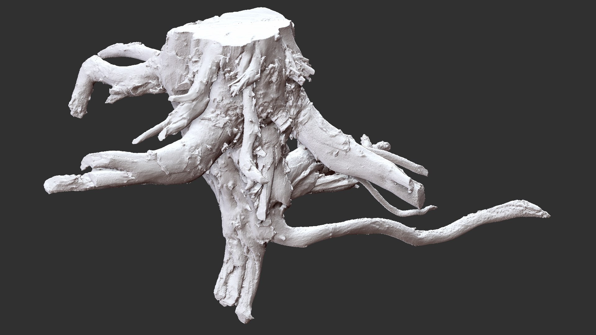 Tree Root 3D Scan 3D model - TurboSquid 2148161
