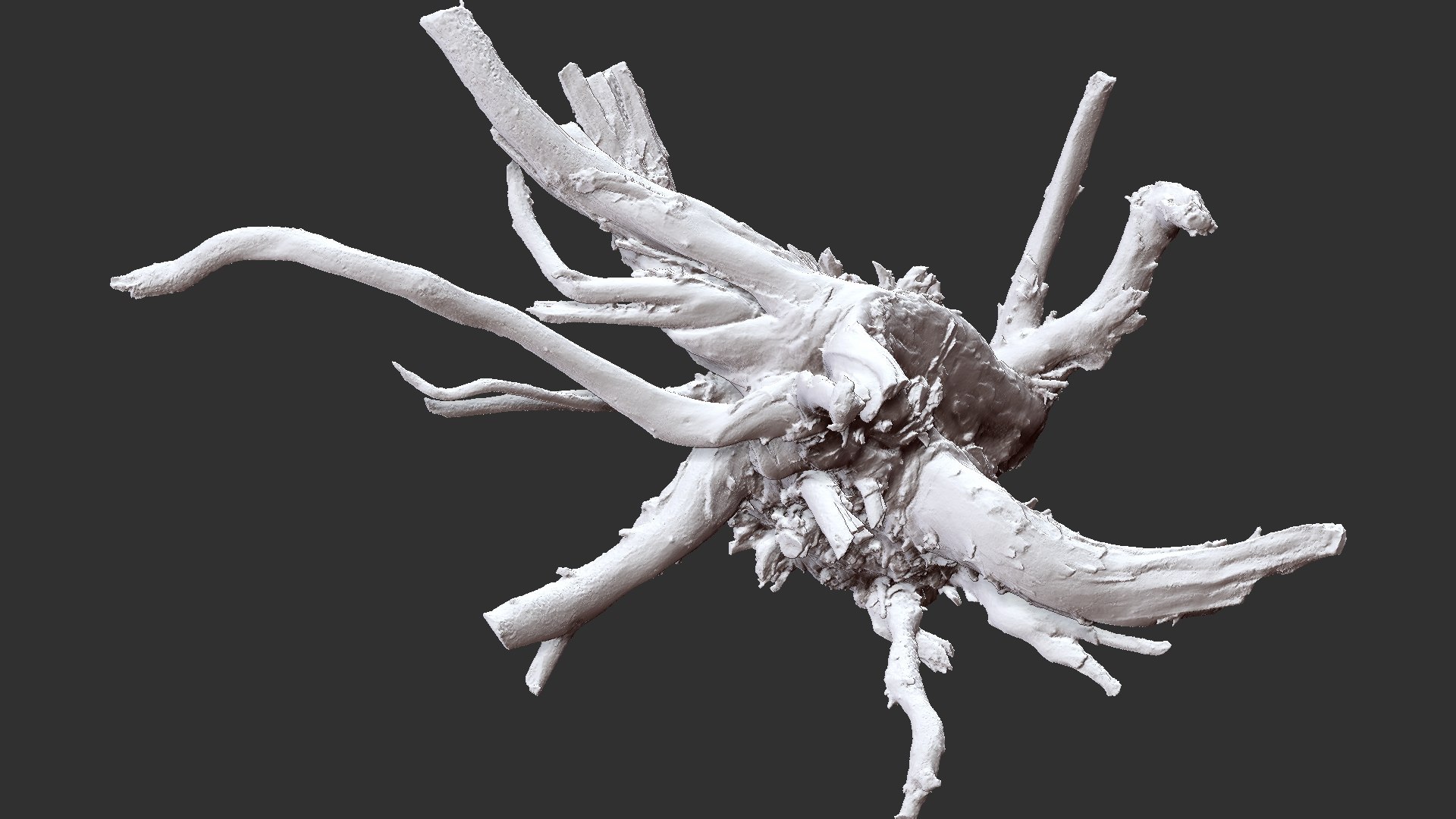 Tree Root 3D Scan 3D model - TurboSquid 2148161