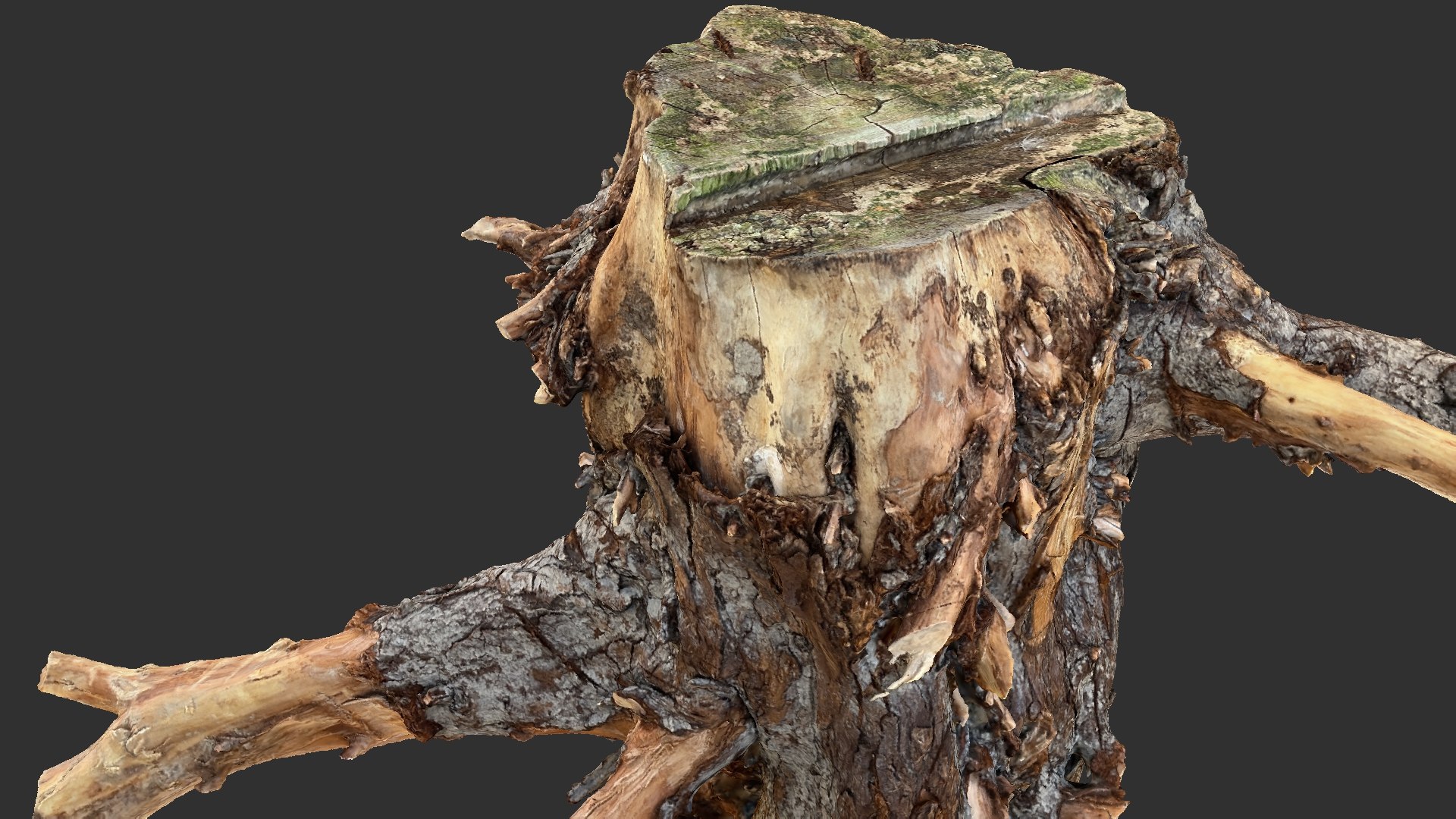 Tree Root 3D Scan 3D model - TurboSquid 2148161
